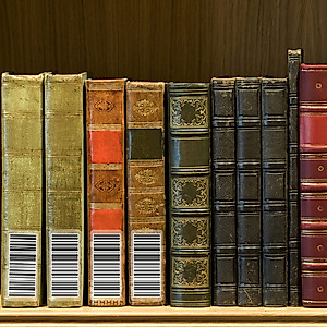 1200 PCS Clear Label Protector Self-adhesive Waterproof Label Stickers Rectangle Label Protector Shields Transparent Envelope Seal Stickers 3.1 x 1.2 Inches