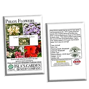 "Large Flowered Phlox" Collomia Seeds for Planting, 50+ Flower Seeds Per Packet, (Isla's Garden Seeds), Non GMO & Heirloom Seeds, Scientific Name: Collomia grandiflora, Great Home Flower Garden Gift
