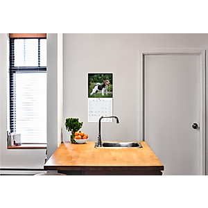 2023 2024 Wire Fox Terrier Calendar - Dog Breed Monthly Wall Calendar - 12 x 24 Open - Thick No-Bleed Paper - Giftable - Academic Teacher's Planner Calendar Organizing & Planning - Made in USA