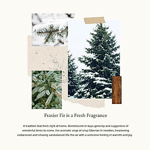 Thymes Hand Wash - 8.25 Fl Oz - Frasier Fir