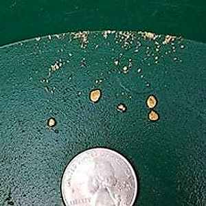 Alaskan Gold Paydirt