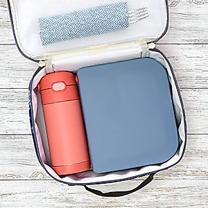 PrimaStella Unbreakable Silicone Lunch Box for Kids and Adults - Divided Bento Box (Slate Blue)