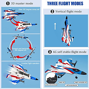 Leopmase RC Plane 4 Channel Remote Control Airplane Fighter, F-22 RC Plane Ready to Fly,Stunt Flying Upside Down,Two Rechargeable Batteries,Great Gift Toy for Adults or Kids