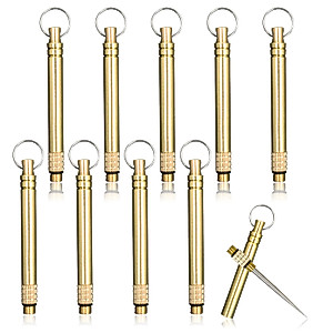 Modixun 10pcs Portable Titanium Toothpicks, Pocket Travel Toothpicks, Reusable Toothpicks,  Metal Toothpick Holder with Key Ring, Fruit Sticks for Outdoor Picnic