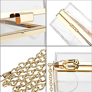 Linkidea Women's Clear Purse, Acrylic Clear Clutch Bag, Transparent Stadium Approved Crossbody Shoulder Evening Handbag with Two Detachable Chains for Wedding, Party (Gold)