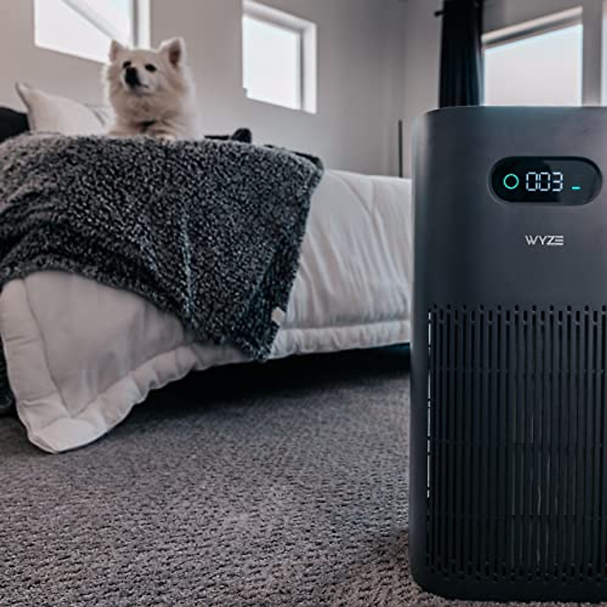 Wyze Air Purifier with Allergen Filter(Standard), for Home Large Room, HEPA 13, 21db Quiet Sleep Mode, 550 sq ft, Remove 99.97% Pet Hair, Pollen, Dust, Dander, Smoke, Smart WiFi Alexa Google, Black