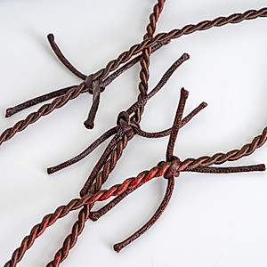Skeleteen Barb Wire Garland Decorations - Rusty Barbed Wire Country Rodeo Western Themed Indoor and Outdoor Home Party Décor