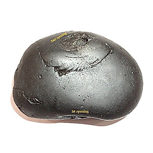 Janardhana Shaligram