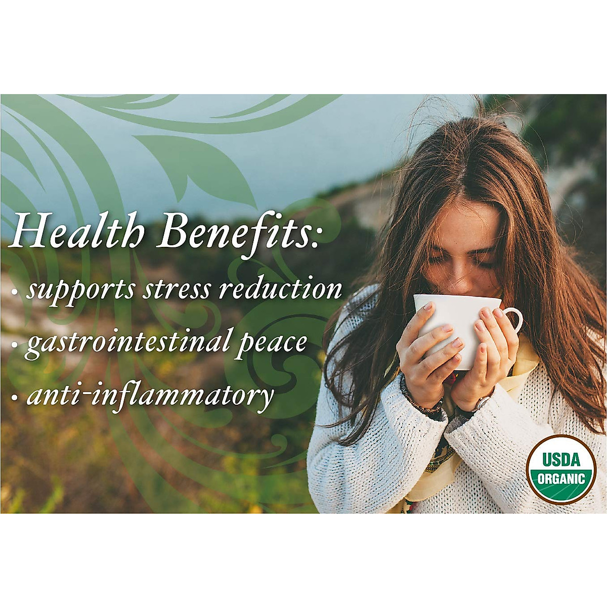 Buddha Teas - Holy Basil - Organic Herbal Tea - For Cognitive Balance & Overall Health - Ayurvedic Tulsi - With Antioxidants - Caffeine Free - 100% Kosher & Non-GMO - 18 Tea Bags (Pack of 1)