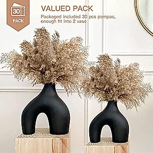 HUMINBO Pampas-Grass Pompous Dried Pampass Plants Fluffy Pompas Grasses 30 Stems Small Pompus Short