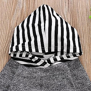 Toddler Infant Baby Boy Girls Clothes Hoodie Fall Winter Sweatsuit Pants Gender Neutral Long Sleeve Outfit Set(2-3 Years, Dinosaur)