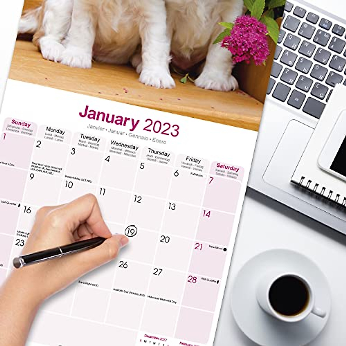 Cavalier King Charles Spaniel Calendar - Dog Breed Calendars - 2022 - 2023 wall calendars - 16 Month by Avonside