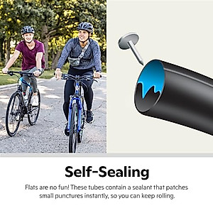 Schwinn Replacement Bike Inner Tube, Traditional and Self-Sealing, Self-sealing, 700c x 35-42mm, Black