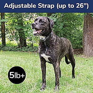 Free Spirit In-Ground Fence Add-A-Dog Collar - Additional, Extra or Replacement Shock Collar with Tone/Vibrate and Shock