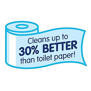 Flushable Wipes for Baby and Kids by Kandoo, Unscented for Sensitive Skin, Hypoallergenic Potty Training Wet Cleansing Cloths, 250 Count (Pack of 4)