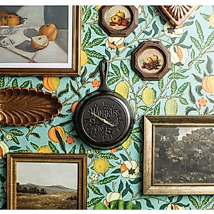 Lodge 9 inch Skillet Clock Inspired by Dolly Parton hit Song 9 to 5" - for Decorative Use Only - Hand Wash, Collector's Piece, 1 AA Battery Required (not Included).