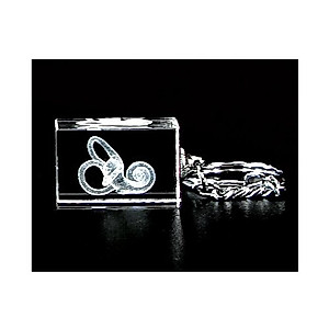 Hearing Gift Box Collection 2, 12 Pack for Audiologist, Students or Hearing Professional