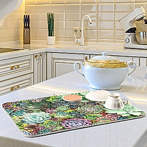 Dish Drying Mat For Counter Colorful Succulent Fast Draining 16 x 18 Inch Can Folded for Kitchen