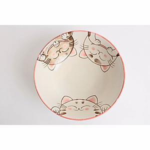 Mino ware Japanese Pair Ramen Noodle Donburi Bowl Smiling Cats Blue & Pink Set made in Japan (Japan Import) MIG001