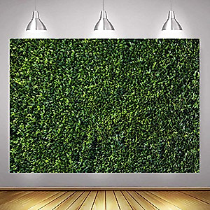 Art Studio Green Leaves Photography Backdrops Spring Nature Safari Party Decoration Outdoorsy Newborn Baby Shower Backdrop Wedding Birthday Photo Background Studio Props Booth Vinyl 7x5ft