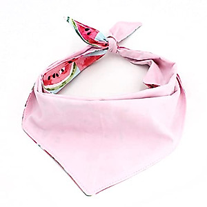 Summer Pet Dog Bandana Pink Watermelon Dog Banana