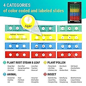 AmScope - 36pc Kids Prepared Microscope Slide Set of Color-Coded Zoological and Botanical Prepared Specimen Slides -PS-P12X3-A