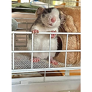 WOLEDOE Rat Cage Platform, All-Metal Basket Chew-Proof Design, Chinchilla Toys and Cage Accessories Ledge Ramp fit Ferret, Guinea Pig, Sugar Glider