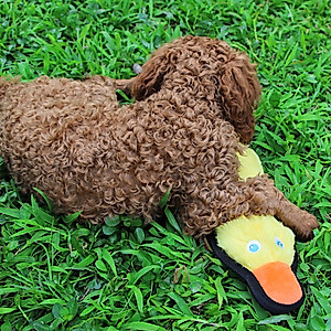 IFOYO Dog Toy - Squeaky Plush Chew Toys for Aggressive Chewers, Interactive Puppy Toys for Small/Medium/Large Dogs, Durable Stuffed Animal Toy with Mental Stimulation (Duck Design)