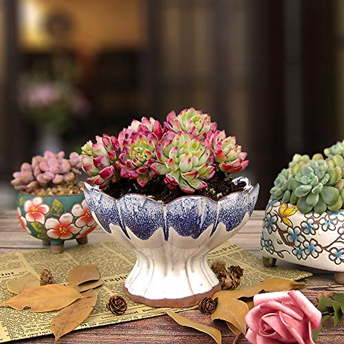 Summer Impressions 6 Inch Glazed Terracotta Succulent Planter with Drainage Hole Clear Plant Saucer Cactus Planter Pot Bonsai Pot Clay Pot Flower Pot (Lotus Blue with Saucer)