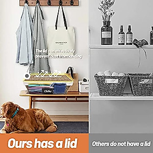 SITANES Seagrass Baskets for Organizing - 2Pcs Wicker Storage Basket with Lids & Liner - Woven Baskets Storage Baskets for Shelves with Black Labels Clips & White Marker 15" x 11" x 5"