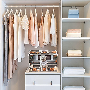 YMGQYJ Halloween Dog Storage Cube with Lid Collapsible Large Capacity Foldable Storage Basket Bin Organizer 16.5×12.6×11.8 inches