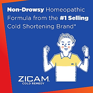 Zicam Cold Remedy Zinc Rapidmelts, Citrus Flavor, 25 Count (Pack of 1)