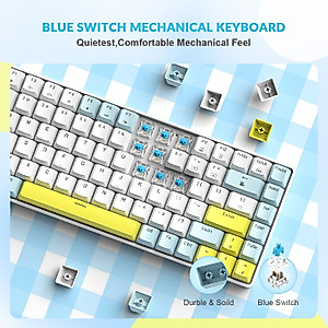 LexonElec RK-84 Portable Mechanical Gaming Keyboard,Rainbow LED Backlit Compact 84 Keys Mini Wired Office Keyboard with Blue Switch for Windows Laptop PC Mac-White/Blue/Orange