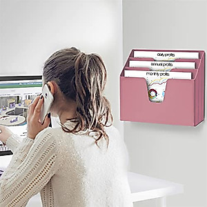 Acrimet Horizontal Triple File Folder Holder Organizer (Solid Pink Color)