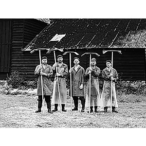 Maldon Salt, Sea Salt Flakes, 3.1 lb, Bulk Tub, Kosher, Natural, Handcrafted, Gourmet, Pyramid Crystals