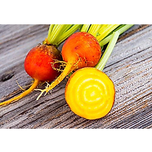 Golden Detroit Beet Seeds for Planting, 100+ Heirloom Seeds Per Packet, (Isla's Garden Seeds), Non GMO Seeds, Botanical Name: Beta vulgaris, Great Home Garden Gift