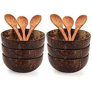 ZENFUN 6 Pack Coconut Bowls and Wooden Spoon, 15 Oz Polished Coconut Bowls, Natural Coconut Shell Bowls Set for Vegan Organic Salad, Smoothie or Buddha Bowls, Kitchen Storage, Lightweight