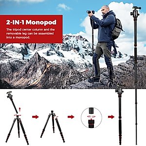 Tripod for Camera, 80“ Heavy Duty Camera Stand Tripod, Professional Ball Head Tripod Stand with Twist Locks, Aluminum Tripod Stand for DSLR Camera Spotting Scope, Video Camera Tripods & Monopods