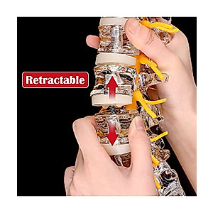 Ultrassist Human Lumbar Spine Model with Sacrum, Spinal Nerves and Herniation Disc, Includes Base for Display, Life Size Spine Model for Medical Education