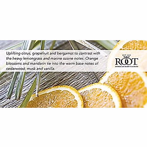 Root Candles Honeycomb Beeswax Blend Scented Candle, 12-Ounce, Tangerine Lemongrass