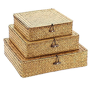 Hipiwe Flat Seagrass Storage Basket Bins with Lid - Set of 3 Wicker Baskets Bins Rectangular Woven Baskets Box Home Organizer Bins for Shelf Organizing, Large Size 14.8"x13"