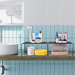 Mesh Kitchen Shelves, Cabinet Organization Mini Storage Shelf Set of 6 (Bronze)