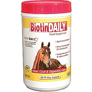 Durvet 01 0027 Biotin Daily Horse Hoof Care, 2.5 lb