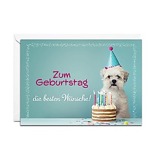 Burg Street Creations German Birthday Card - Zum Geburtstag die besten Wünsche (Dog with Birthday Cake)