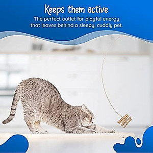 Cat Dancer Products 101 Interactive Cat Toy, Brown