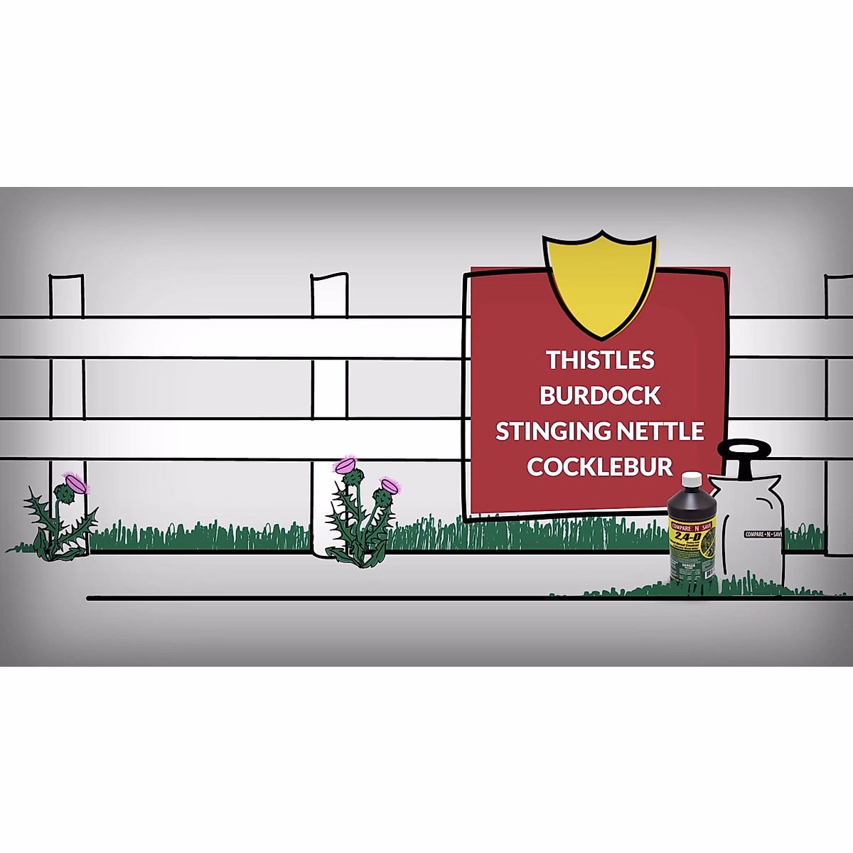 Compare-N-Save 2-4-D Amine Broadleaf Weed Killer, 32-Ounce