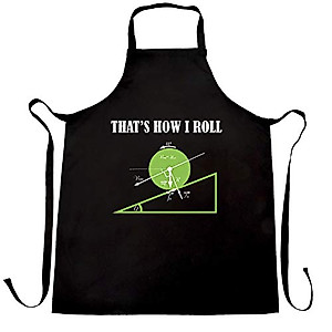 Novelty Math Chef's Apron That's How I Roll Physics Joke Nerd Geek Science Gift Black One Size