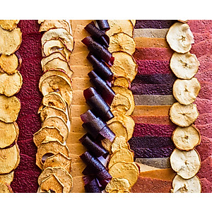 2 Fruit Leather Silicone Dehydrator Sheets with EDGES fits Elite Gourmet EFD-319 Round Dehydrators NON-Toxic Lip EFD319 Mold Hold Batter Liquids Fruit Roll Up Fruit Leather Circle ReUsable Flexible