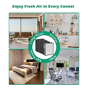 Miloidea 10 Pack 3000 True HEPA Replacement Filters Compatible with 3000,3000M,3000Pro Air Purifier, 2 True HEPA, 2 Activated Carbn & 6 Extra Carbn Pre-filters(2+2+6), 3000 Accessory, NOT for 3500