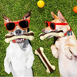 Sosation 10 Pcs Dog Chew Toys for Aggressive Chewers Nylon Beef Flavor Dog Bones Tough Puppy Teething Toys Puppy Chew Bones for Large/Medium/Small Breed Dogs Puppies (5.1 x 2 Inch)